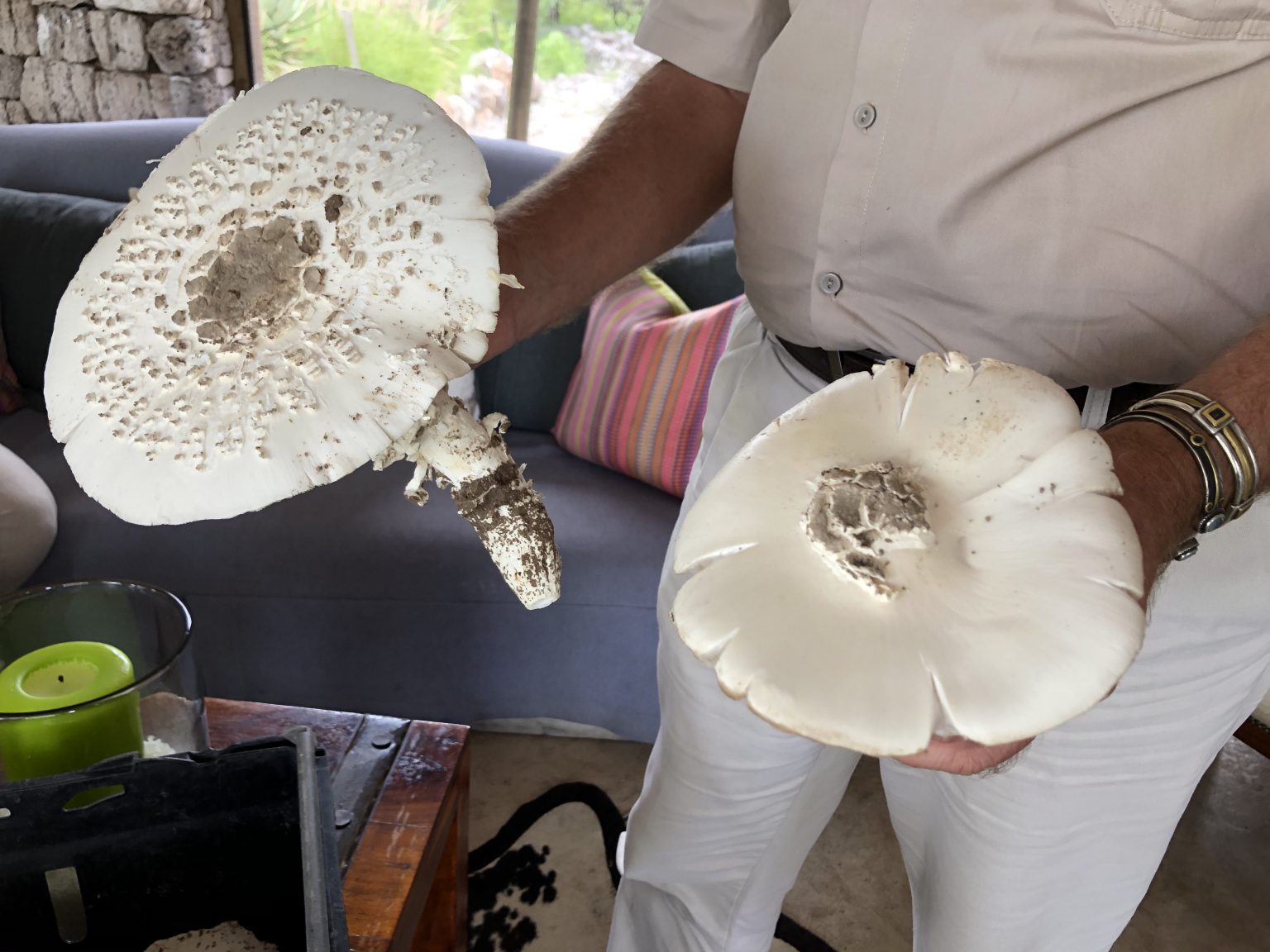 Anouk's Namibia Trip Report - African Portfolio